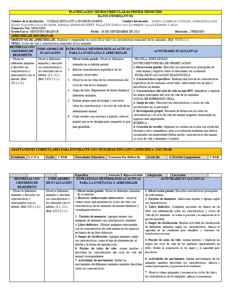 FORMATO PLANIFICACIÓN MICROCURRICULAR DUA - 3 Sept | PDF | Evaluación | Ciencia cognitiva