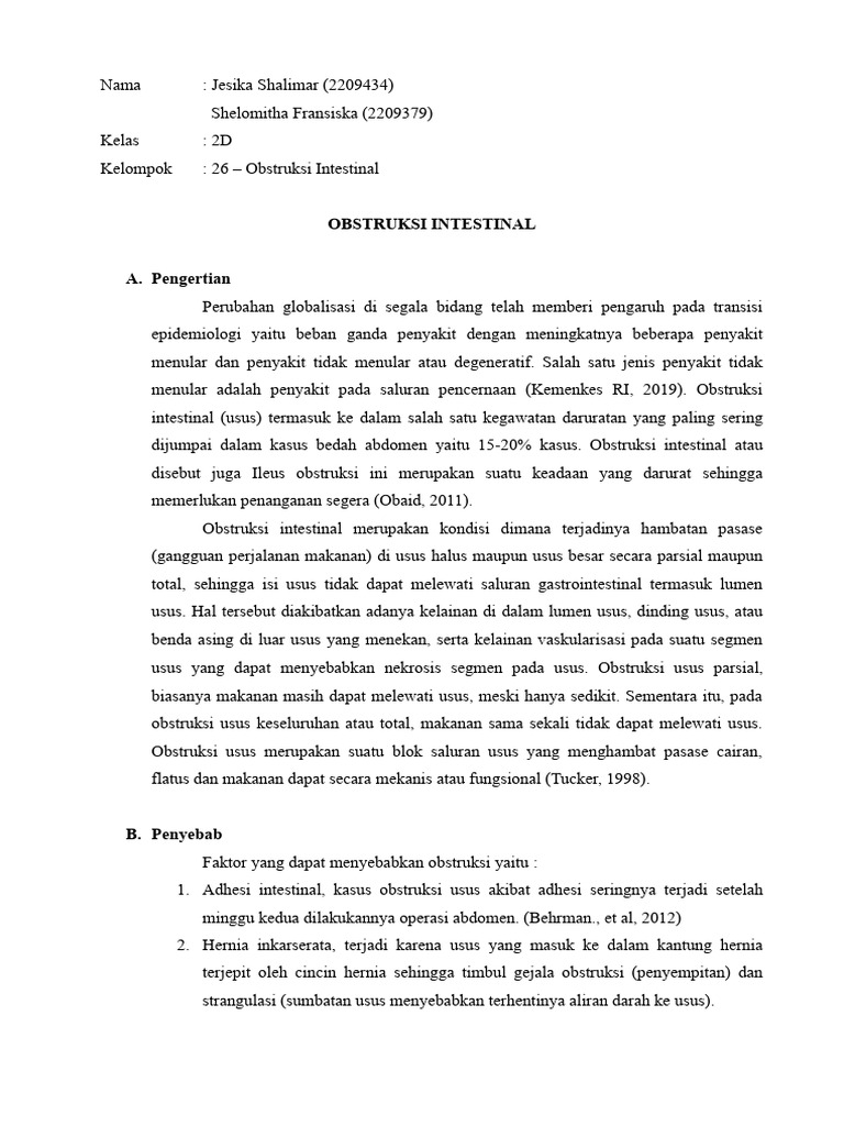 IDDK - Obstruksi Intestinal (Kelompok 26) | PDF