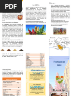 Beneficios y Usos de la Quinua | PDF | Quinua | Cereales