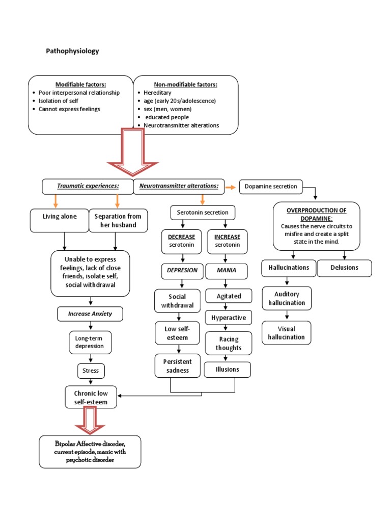 Pathophysiology of Bipolar Disorder | PDF | Bipolar Disorder | Mania