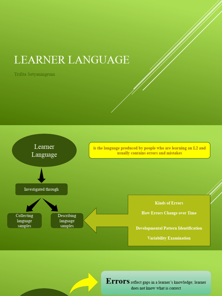 Understanding Learner Language Errors | PDF | Language Acquisition ...