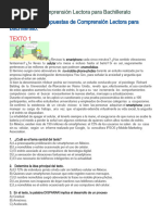 Ejercicios de Comprensión Lectora para Bachillerato | PDF | Leonardo Da Vinci | Pseudociencia