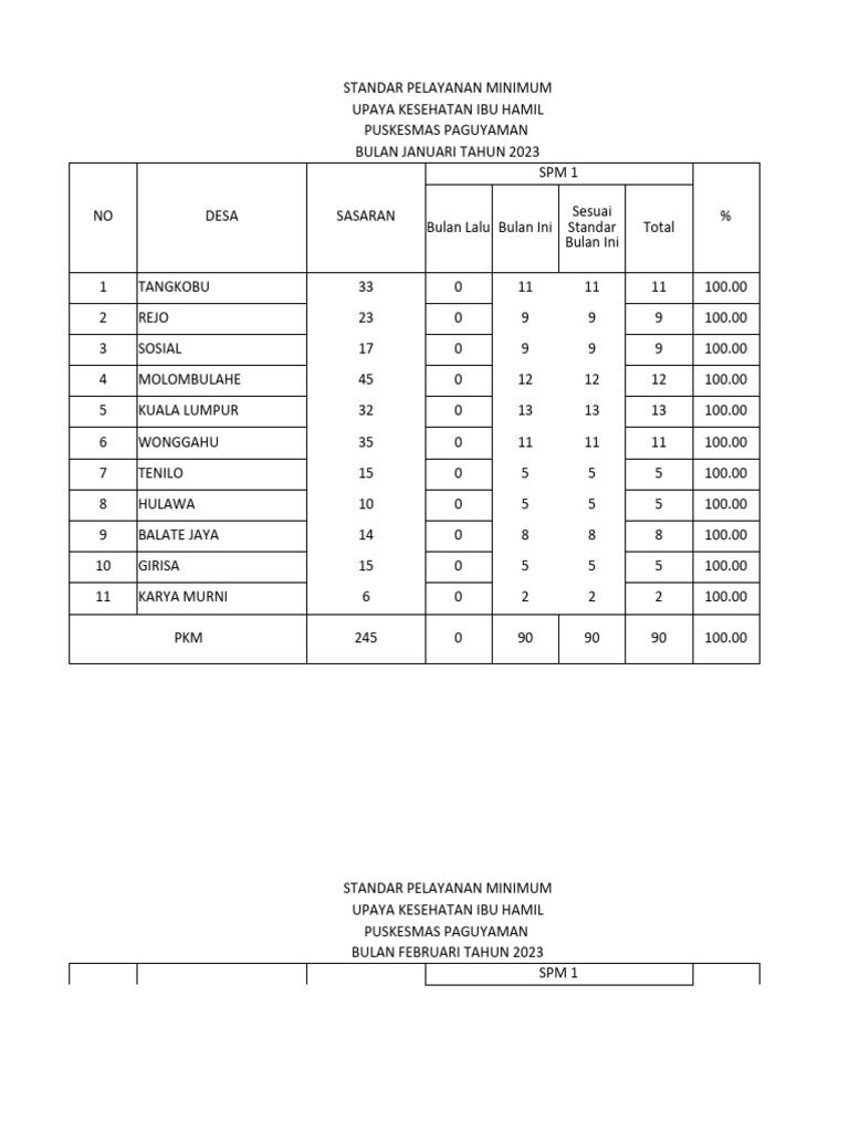 Capaian SPM 2023 Perbulan | PDF