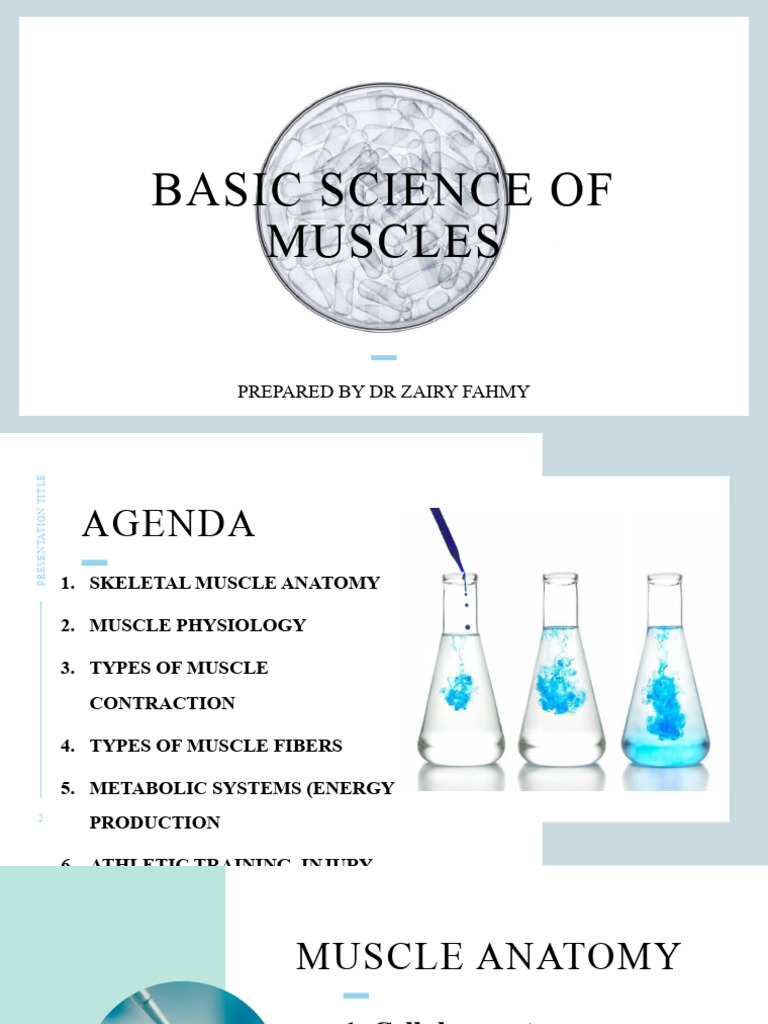 Basic Science of Muscles | PDF | Skeletal Muscle | Muscle Contraction