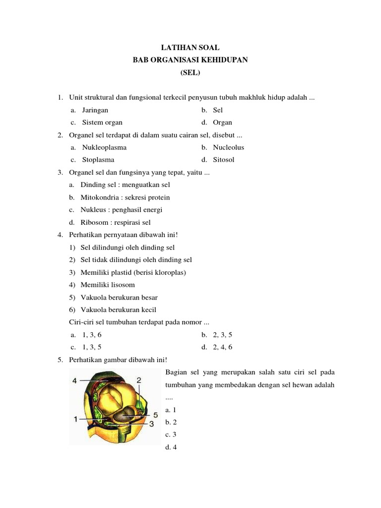 Latihan Soal Sel SMP | PDF
