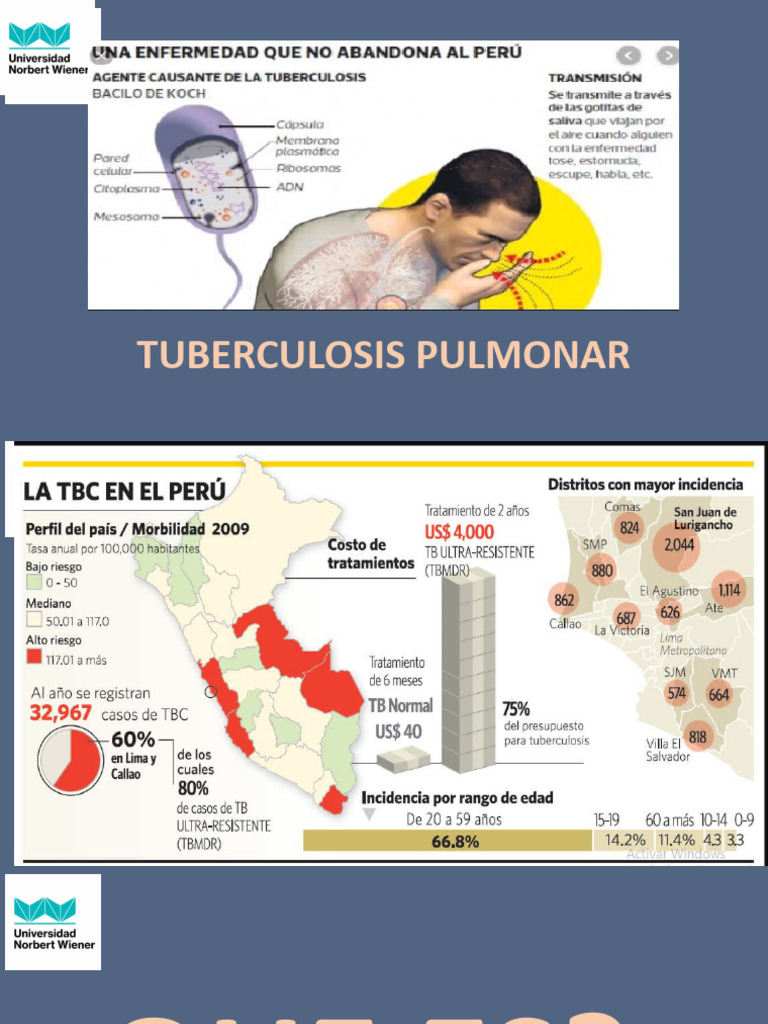 Tuberculosis Pulmonar | PDF