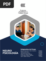 Test de NEUROPSI Completo | PDF | Memoria | Sistema nervioso
