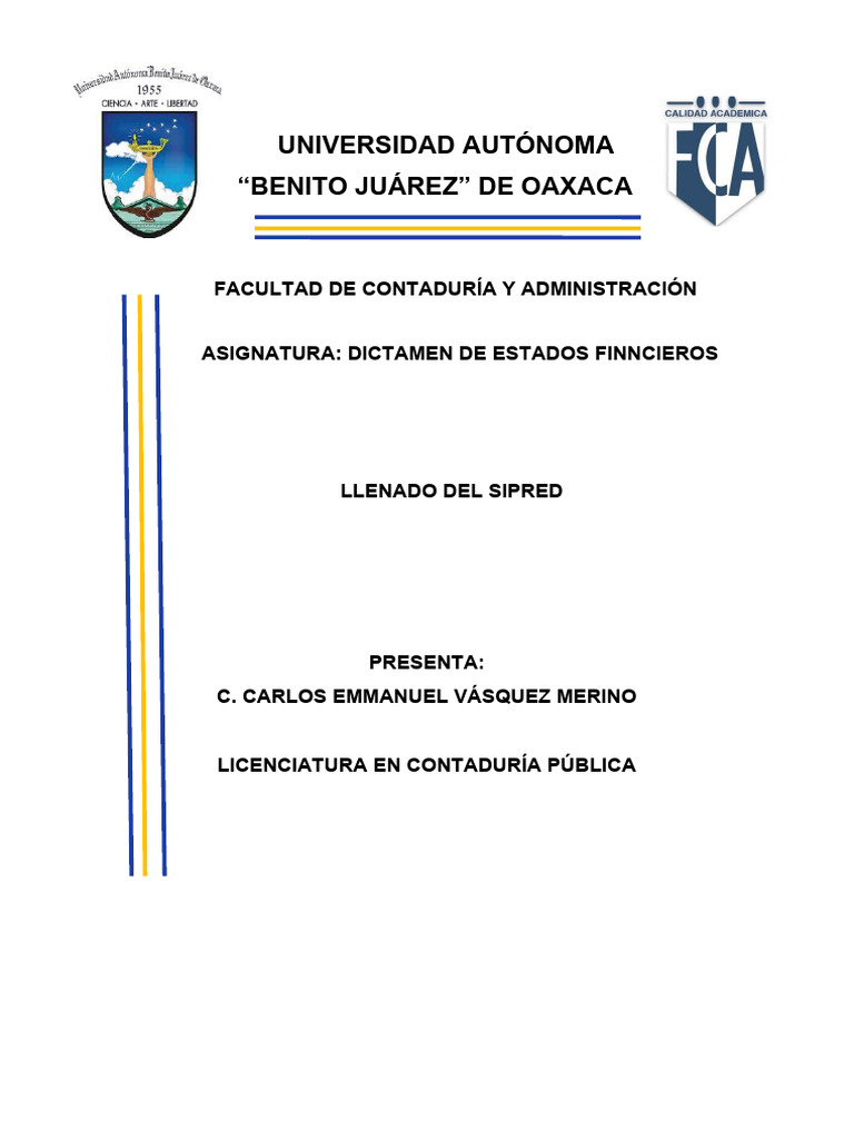 Instructivo SIPRED 2024: Llenado Detallado | PDF | Contador ...