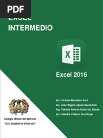 17 BasicoExcel AnalisisDeDatos | PDF