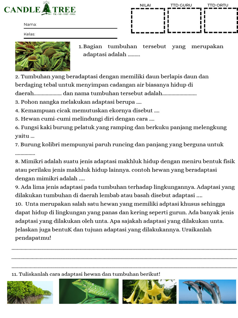 Adaptasi Hewan Tumbuhan | PDF