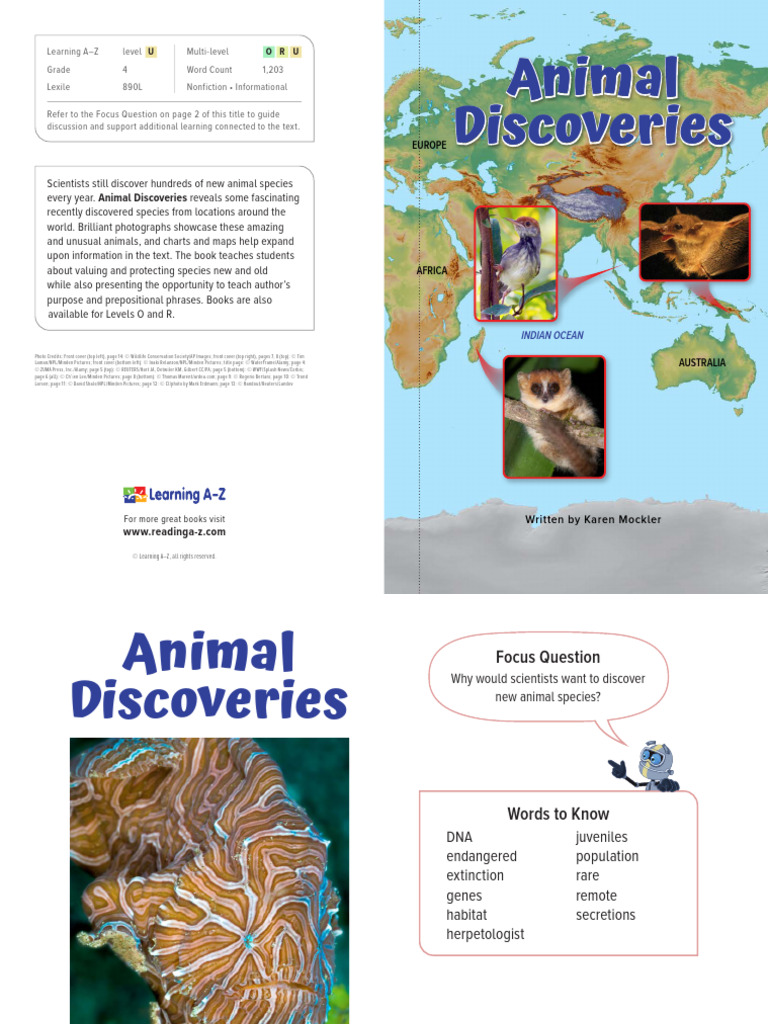 Animal Discoveries Reading | PDF | Sharks | Frog