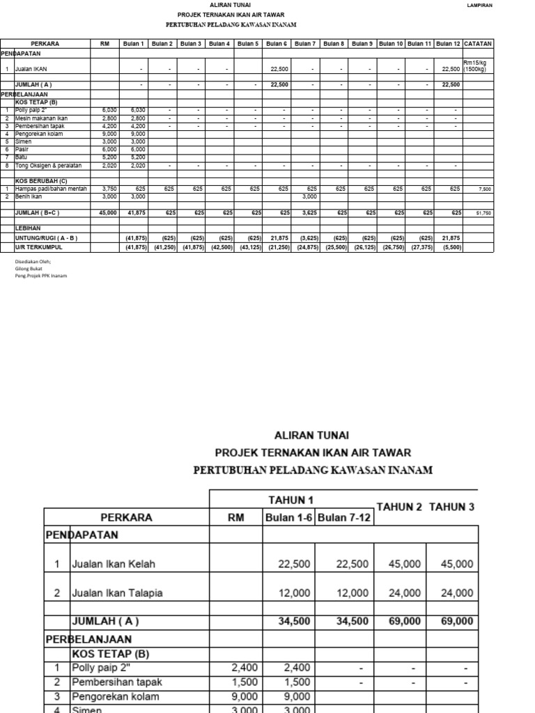 ALIRAN TUNAI PROJEK IKAN AIR TAWAR Unit Ruminding | PDF