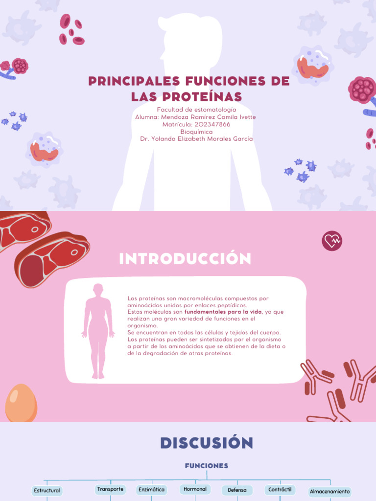 Funciones de Las Proteinas | PDF | Proteínas | Enzima
