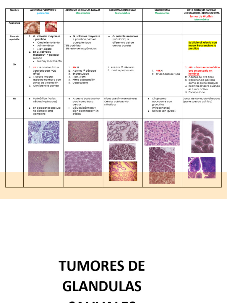 Tumores de Glandulas Salivales | PDF | Cáncer | Medicina CLINICA