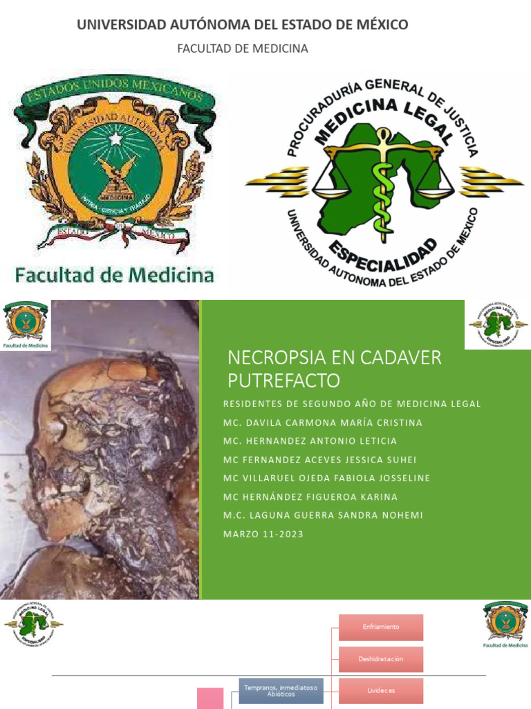Necropsia en Cadáver Putrefacto | PDF | Jurisprudencia médica | Abdomen