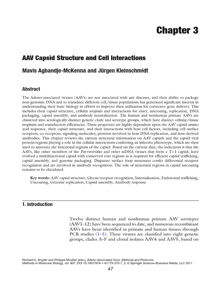 AAV Capsid Structure & Interactions | PDF | Virus | Molecular Biology