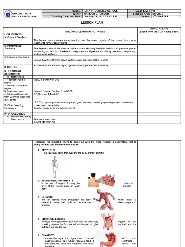 DLP - How The Different Body Organs Work Together | PDF | Human Body ...