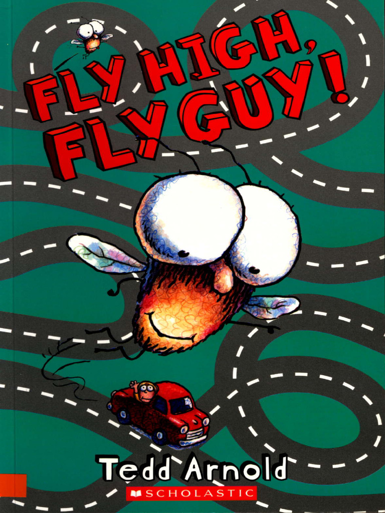 5 - Fly High Fly Guy Scan | PDF