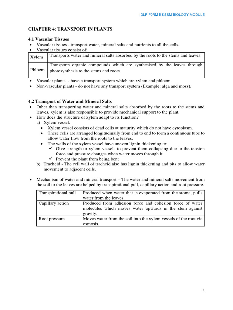 093 52 Final Biologi T5 Fasa 2 DLP-18-44 | PDF | Botany | Branches Of Botany