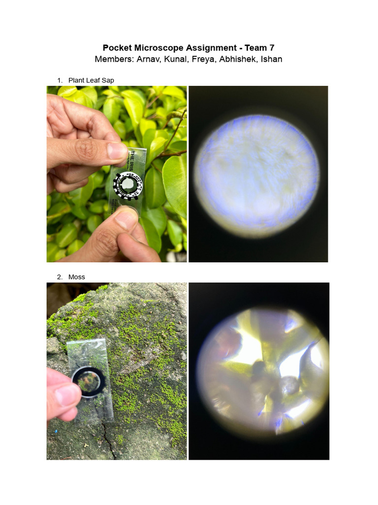 Pocket Microscope Assignment - Team 7 | PDF | Science & Mathematics