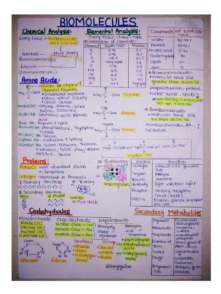 Biomolecules Class 11th Chapter 9 | PDF