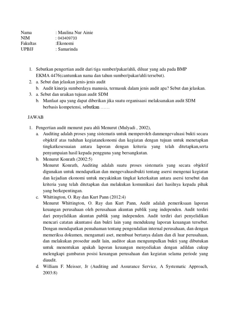 TMK Tugas 1 - EKMA4476 Audit SDM | PDF