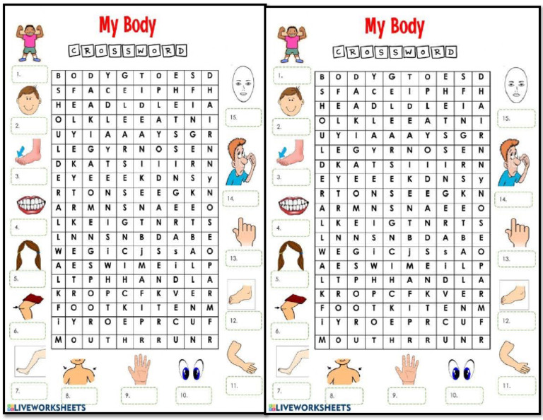 Body Parts Word Search | PDF