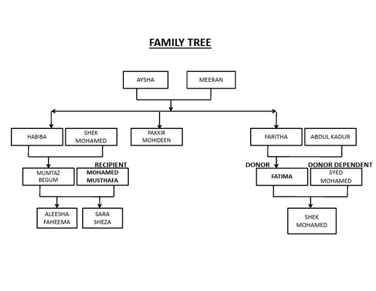 Family Tree of Hazrat Ali and Fatima | PDF