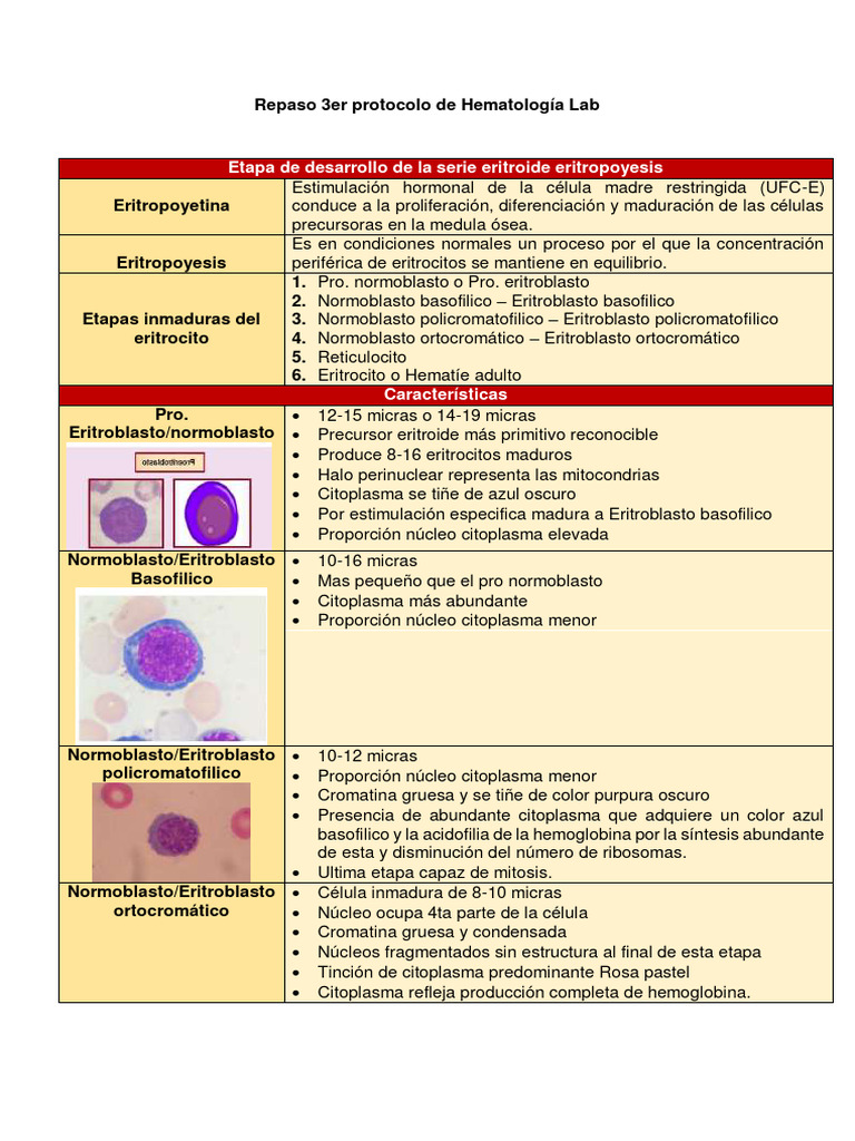 PDF Repaso 3er Protocolo Hemato Lab | PDF | Glóbulo rojo | Anemia