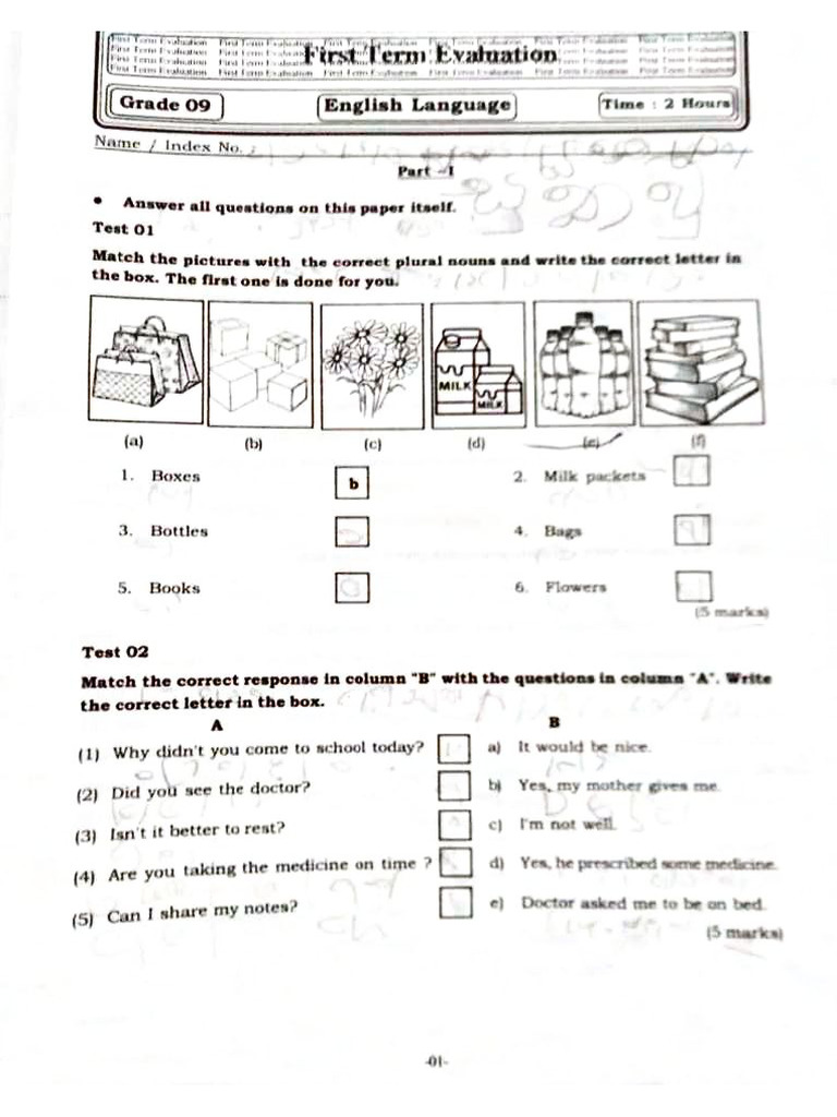 English - Grade 9 - First Term Test 2023 | PDF