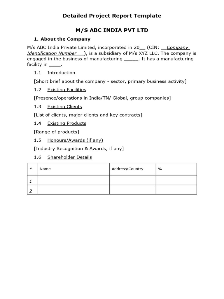 DPR Template | PDF | Sales | Economies