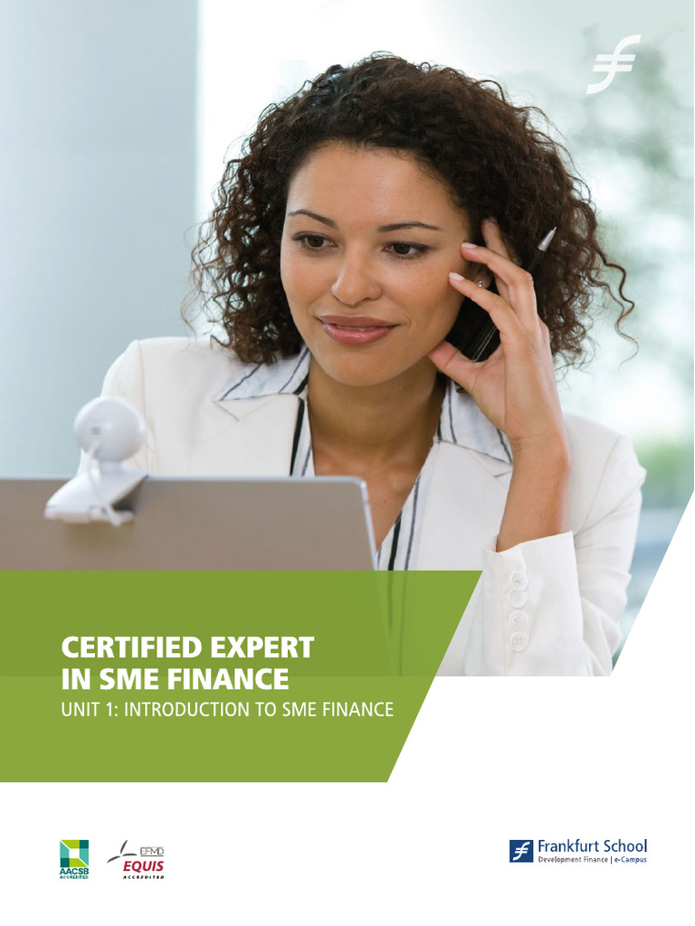 Script Unit 1 - Introduction To SME Finance | PDF | Small And Medium ...