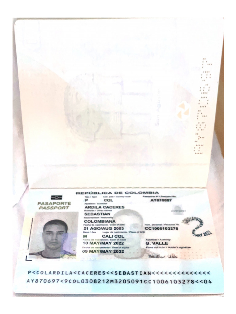 Pasaporte | PDF