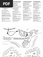 Cachuma Lake Detailed Map, Rules, and Regulations PDF | PDF | Campsite