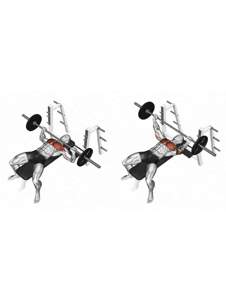 Como Ejecutar Bench Press y Sus Musculos | PDF