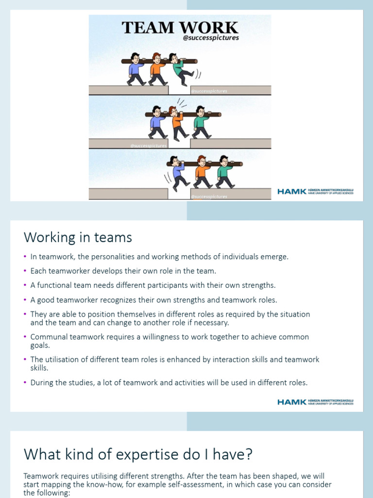 Team Role Test | PDF | Procedural Knowledge | Personality Type
