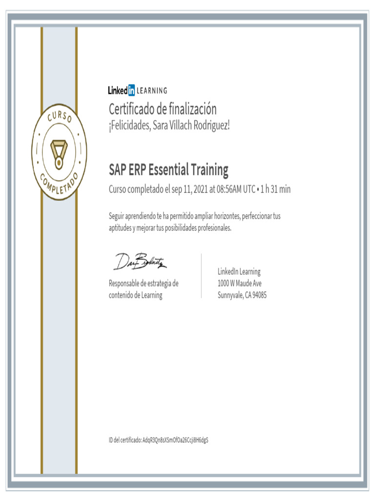 Sap Erp Essential Training Pdf