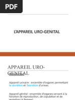 Anatomie Du Bassin Osseux DR Messakop | PDF | Appareil locomoteur ...