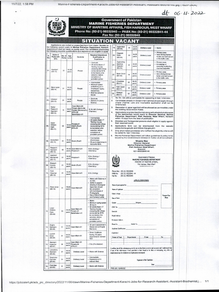 MFD SituationVacantAdvertisement | PDF
