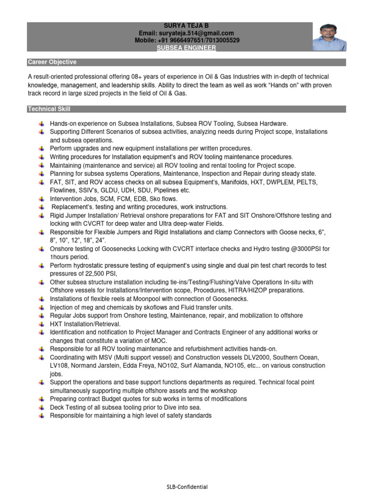 Subsea Engineer Resume 2023 July | PDF | Oil Well | Petroleum Reservoir