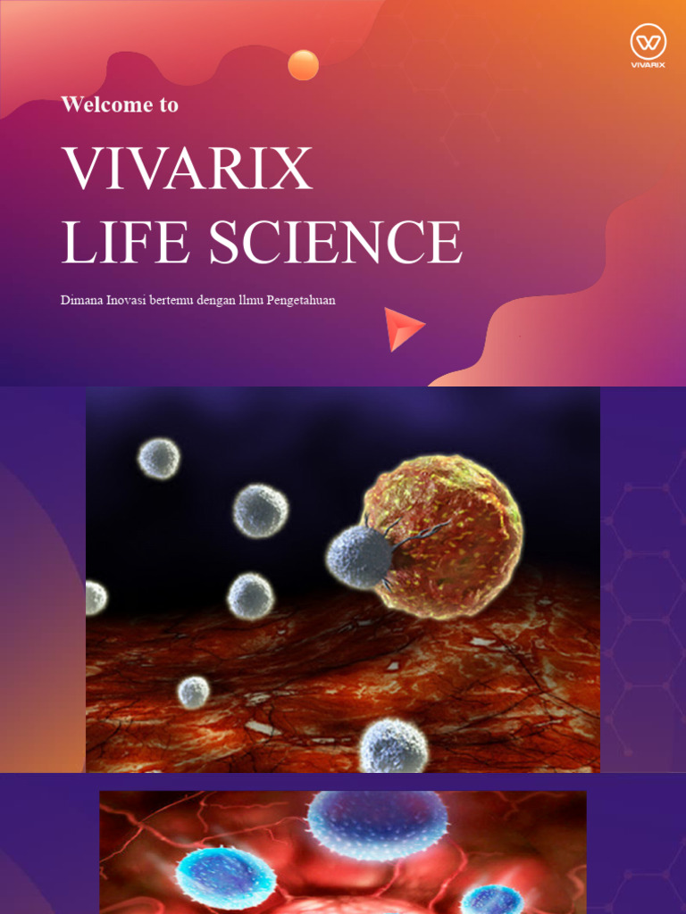 Final Vivarix | PDF