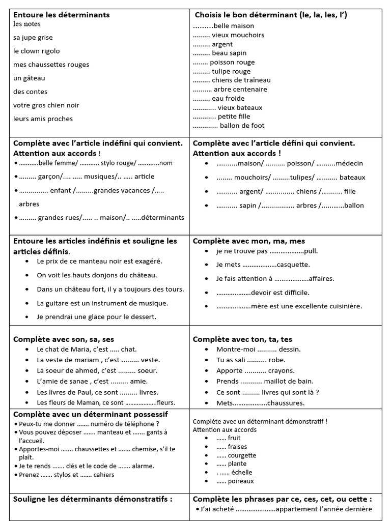 Exercices sur les déterminants français | PDF