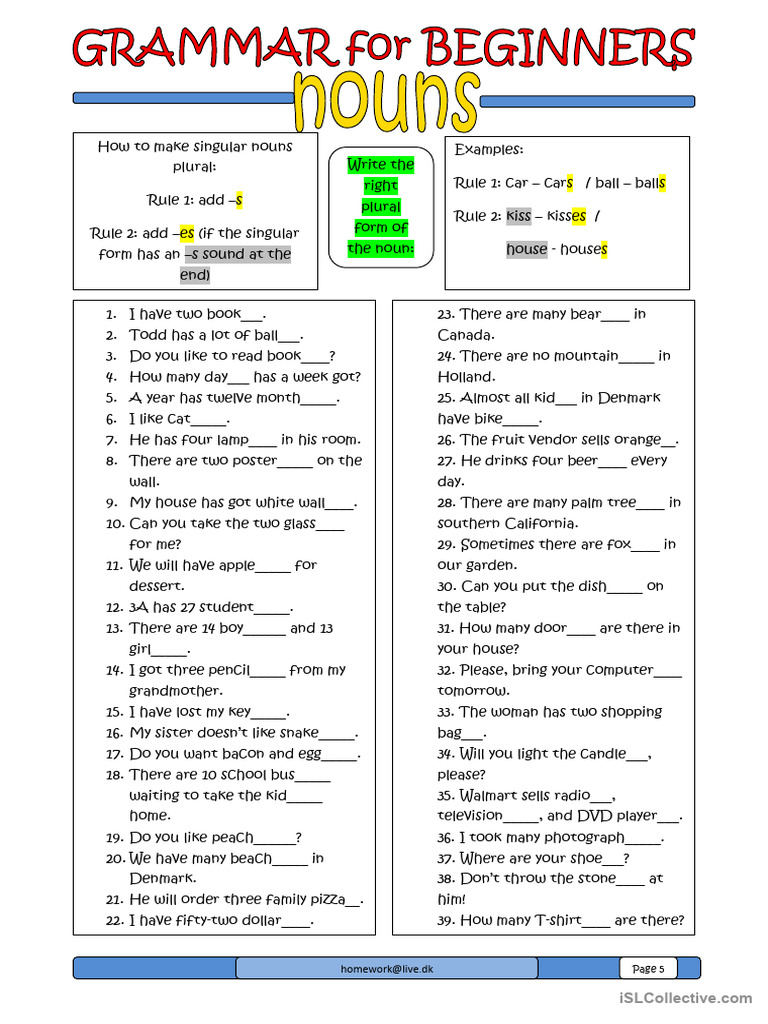 Grammar For Beginners - Nouns | PDF | Plural | Morphology