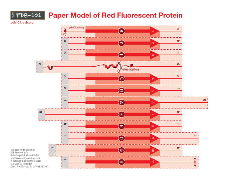RFP Color | PDF | Cell Biology | Scientific Techniques