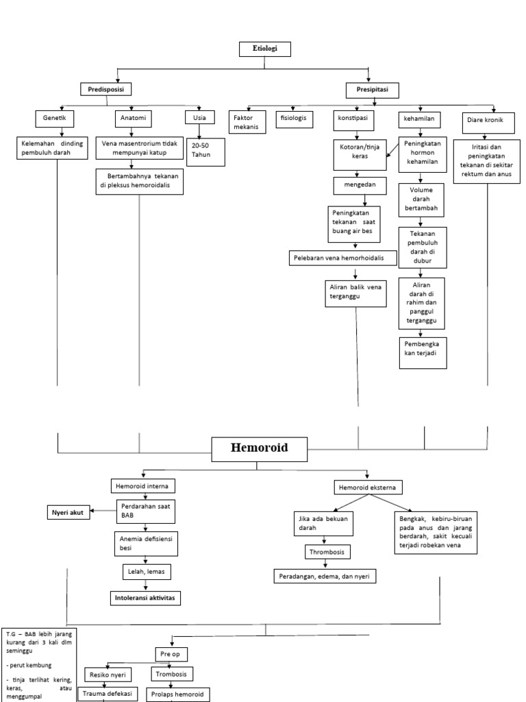 Pathway Hemoroid Skenario 3 | PDF