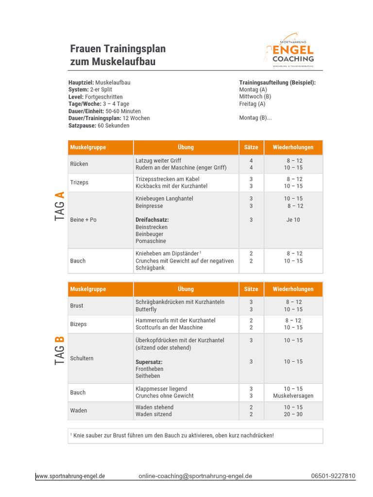 Trainingsplan Muskelaufbau Frauen | PDF