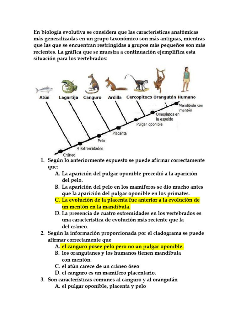En Biología Evolutiva Se Considera Que Las Características Anatómicas ...