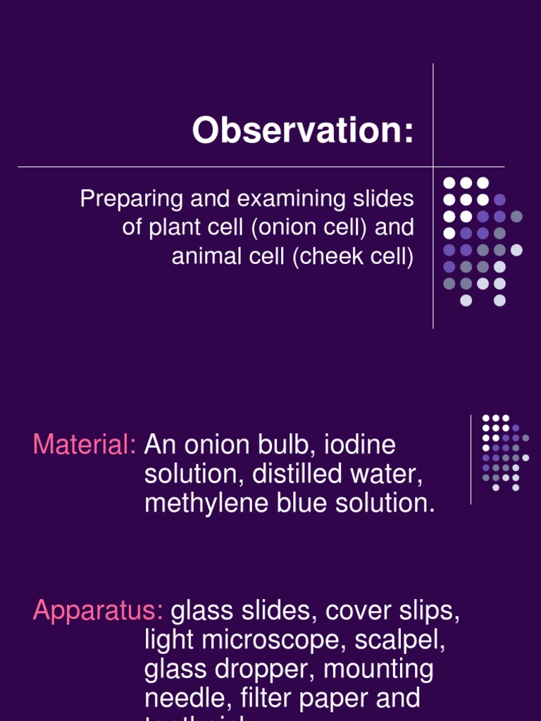 Onion vs Cheek Cell Observation Guide | PDF | Wellness