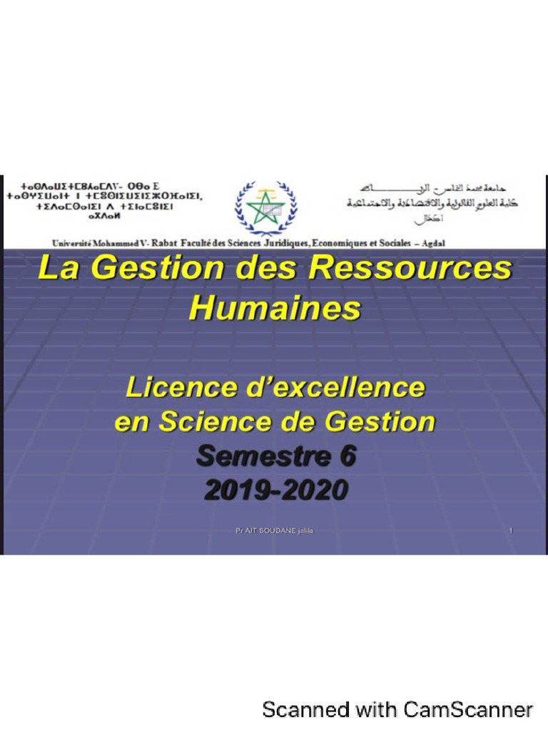 Cours GRH (Fsjes Agdal) | PDF