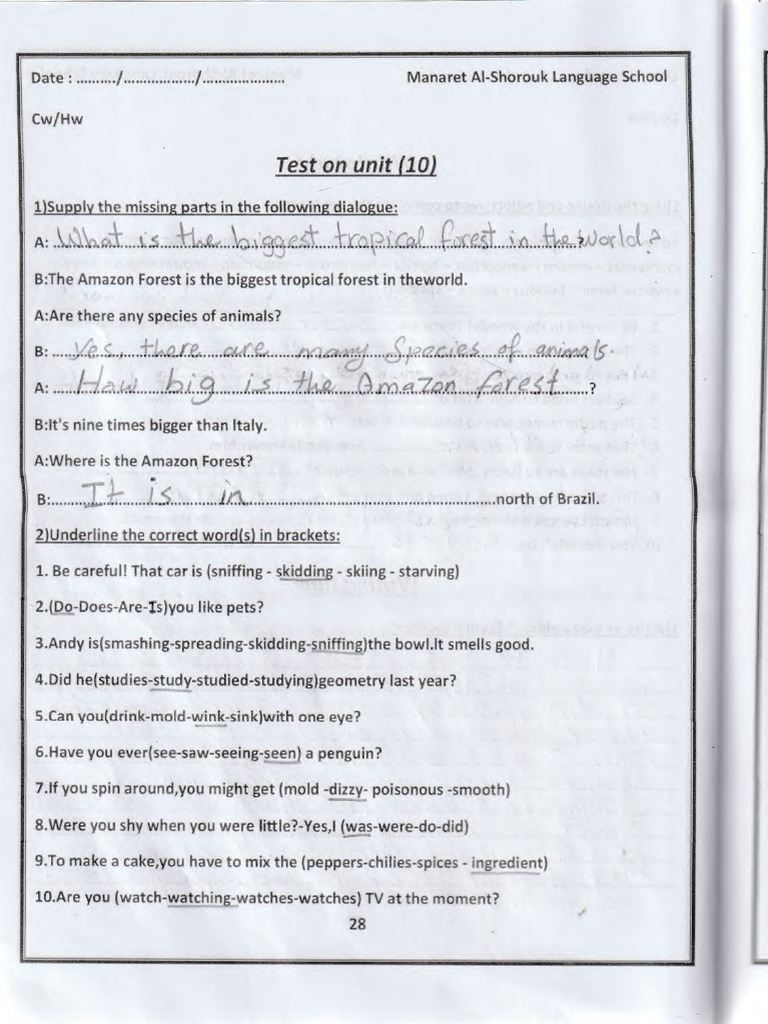 Grade 5 Model Answer Week 4 | PDF